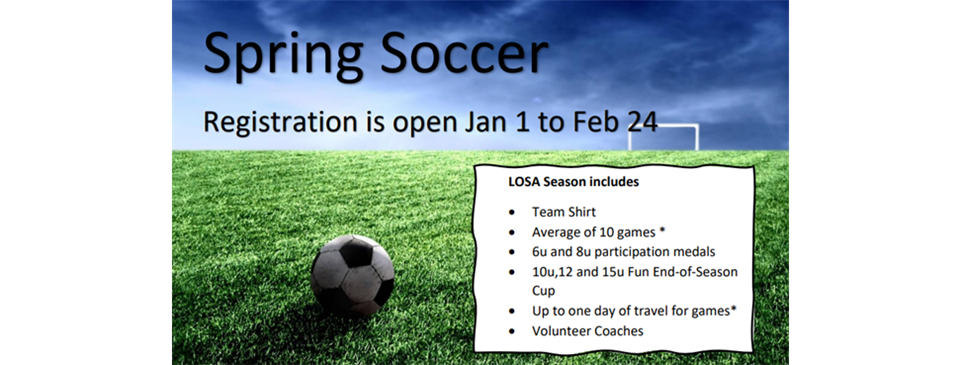 Eldon Lake of the Ozarks Soccer Association > Home